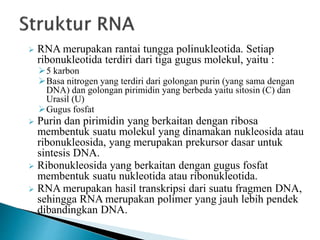 RNA biokimia | PPTX