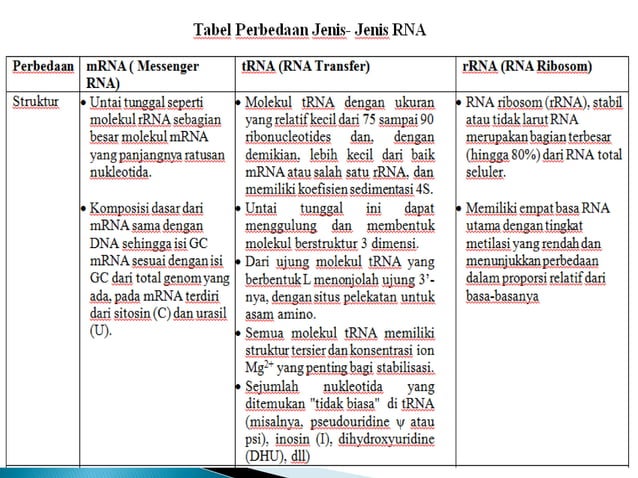RNA biokimia | PPTX