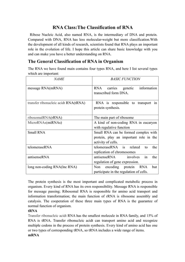 RNA Class:The Classification of RNA | PDF