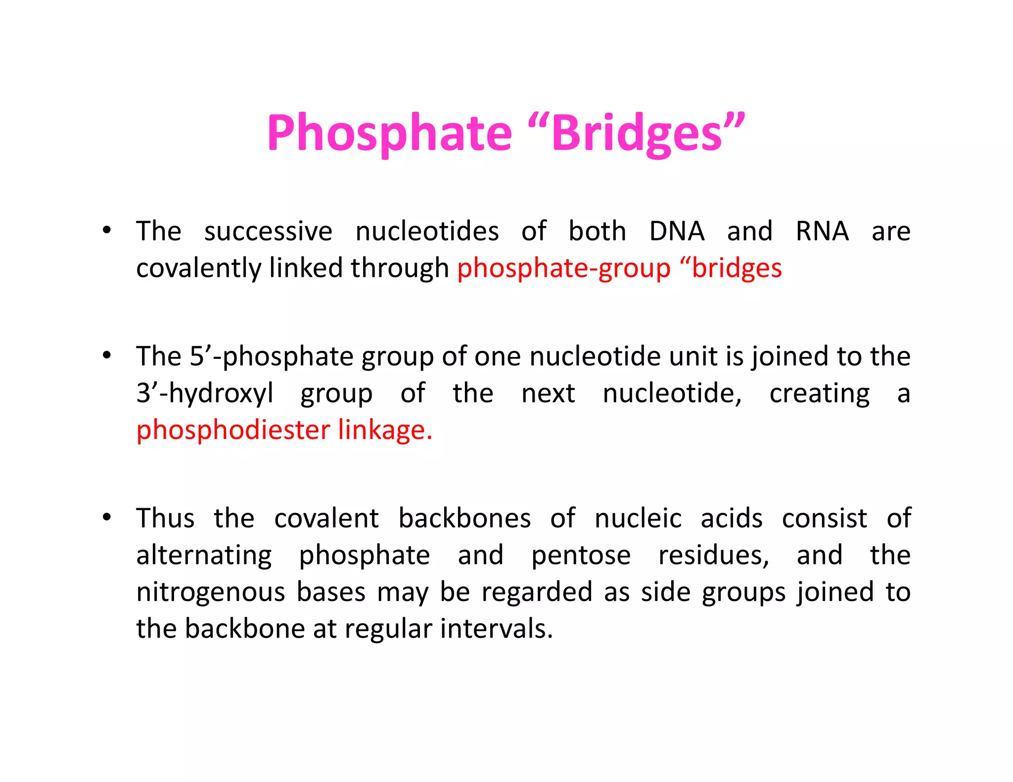 Nucleic acid and it's classification | PDF