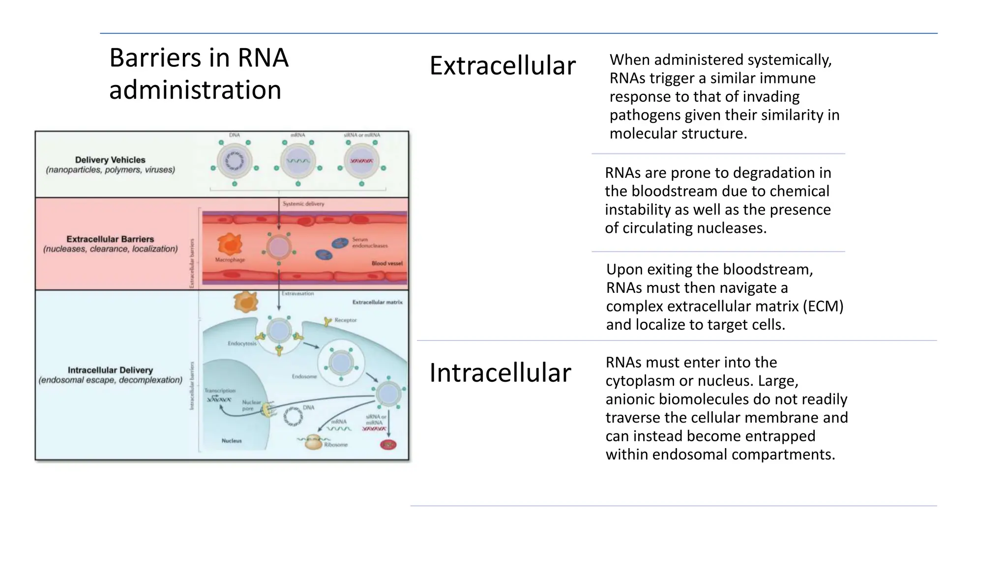 Strategies, Modifications, and Materials for RNA Delivery In Vitro and ...