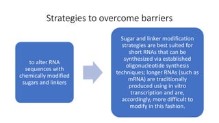 Strategies, Modifications, and Materials for RNA Delivery In Vitro and ...
