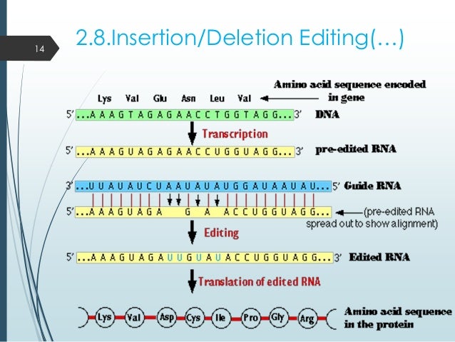 RNA editing