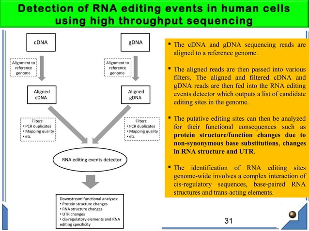 RNA editing | PPT