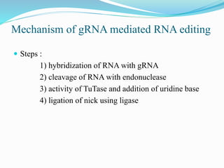 RNA editing | PPTX