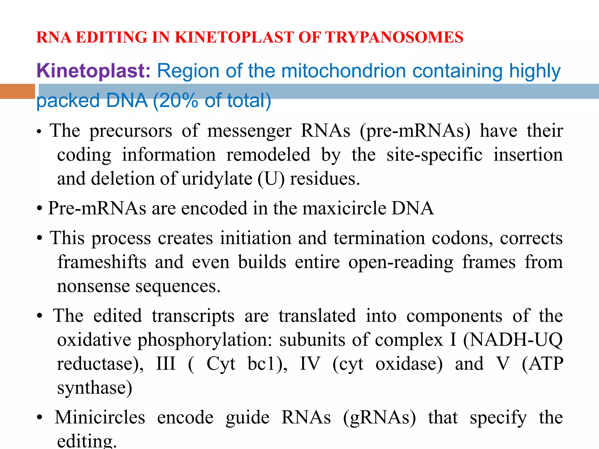 RNA Editing.pptx