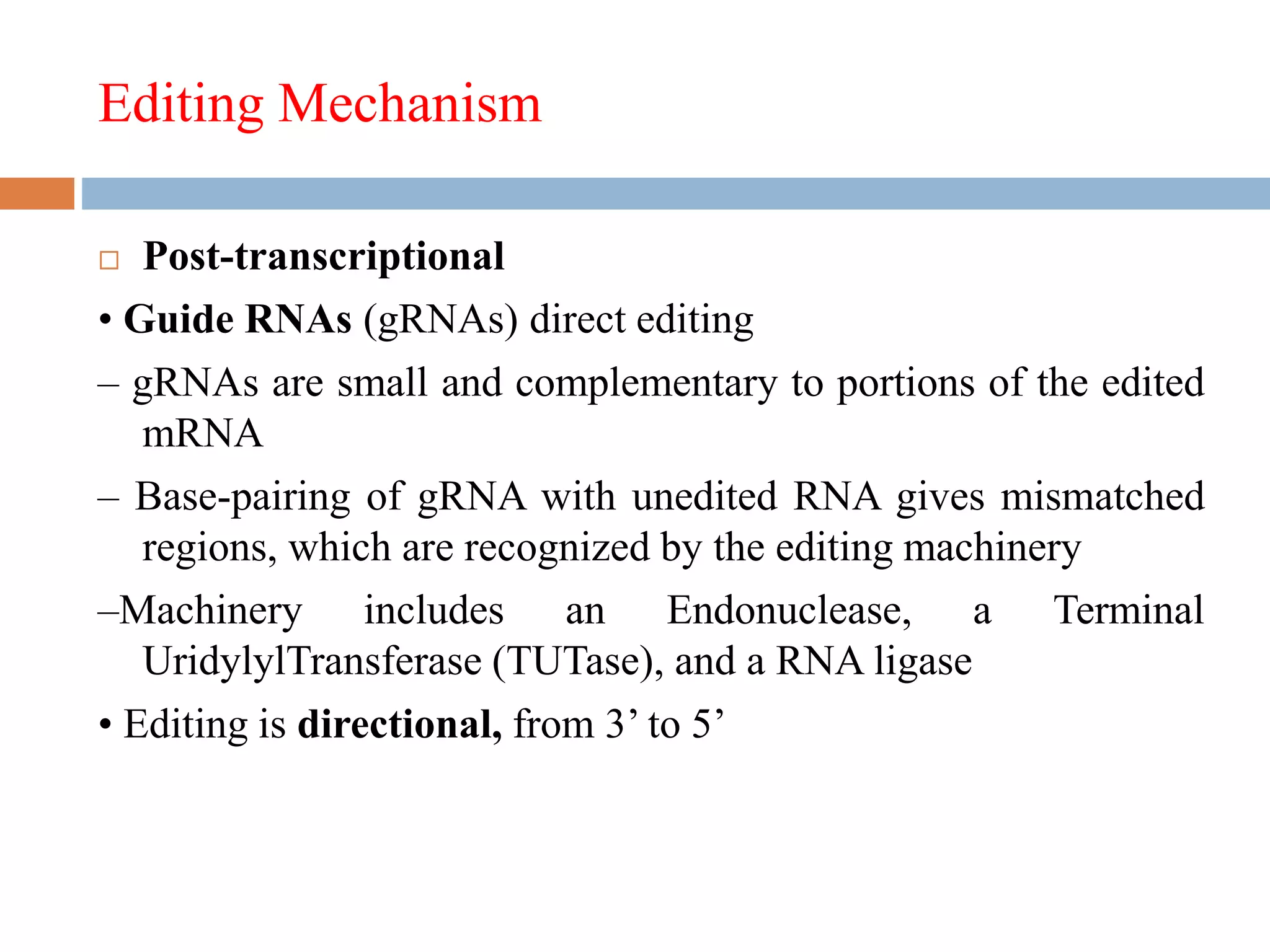 RNA Editing.pptx