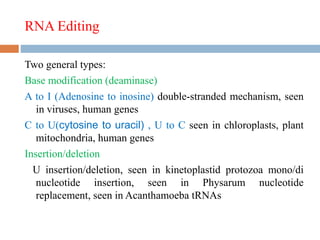 RNA Editing.pptx