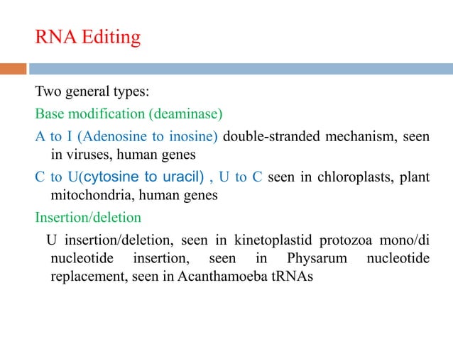 RNA Editing.pptx