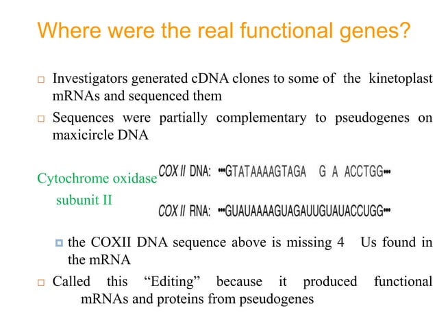 RNA Editing.pptx