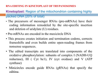RNA Editing.pptx