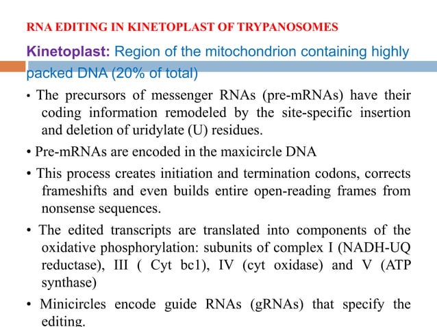 RNA Editing.pptx