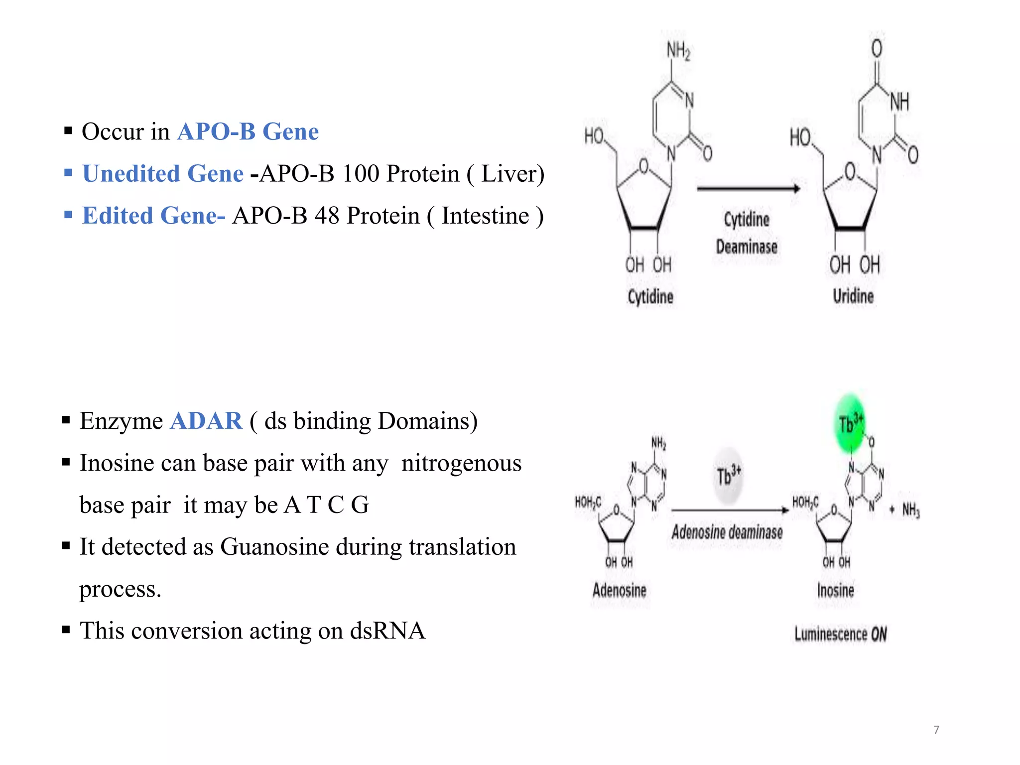 RNA_EDITING.pptx