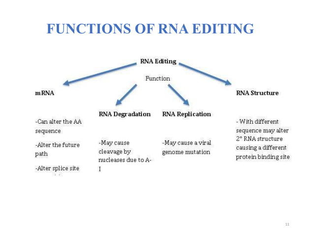 RNA_EDITING.pptx | Programming Languages | Computing