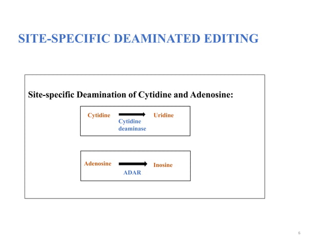 RNA_EDITING.pptx | Programming Languages | Computing