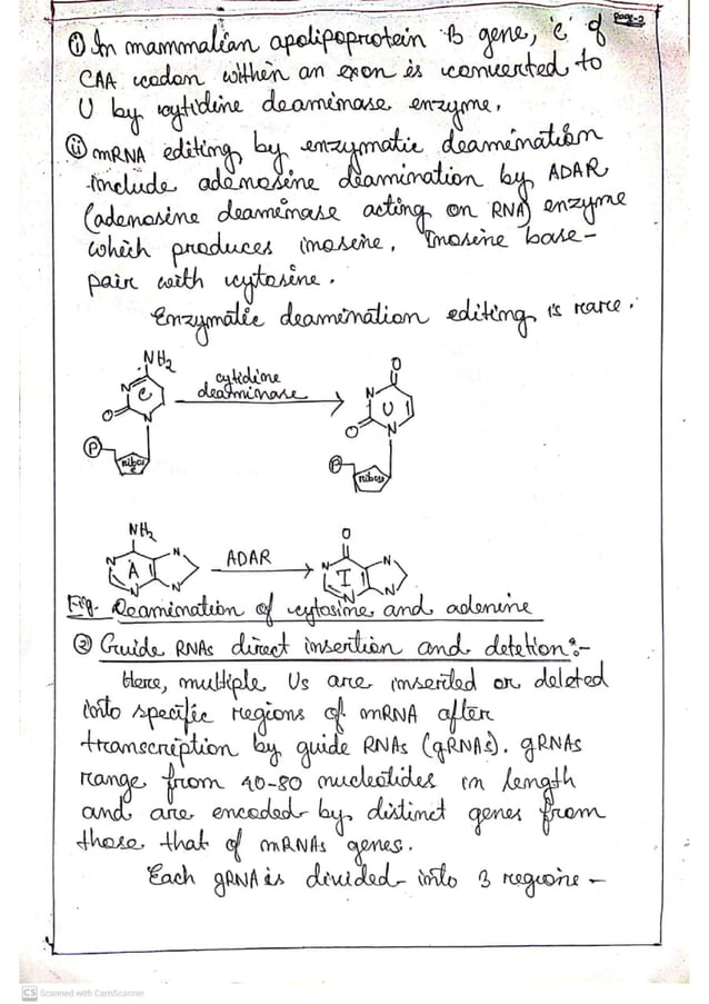 Rna editing and r rna processing | PDF
