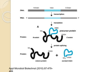Rna editing, protein splicing & codon bias | PPT