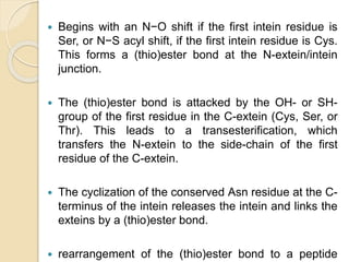 Rna editing, protein splicing & codon bias | PPT