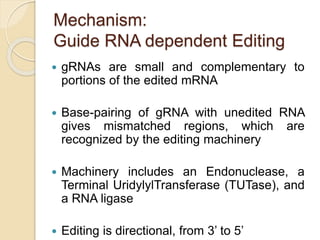 Rna editing, protein splicing & codon bias | PPT