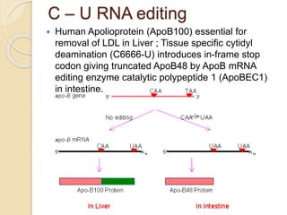 Rna editing, protein splicing & codon bias | PPT