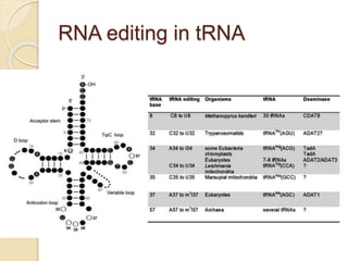Rna editing, protein splicing & codon bias | PPT