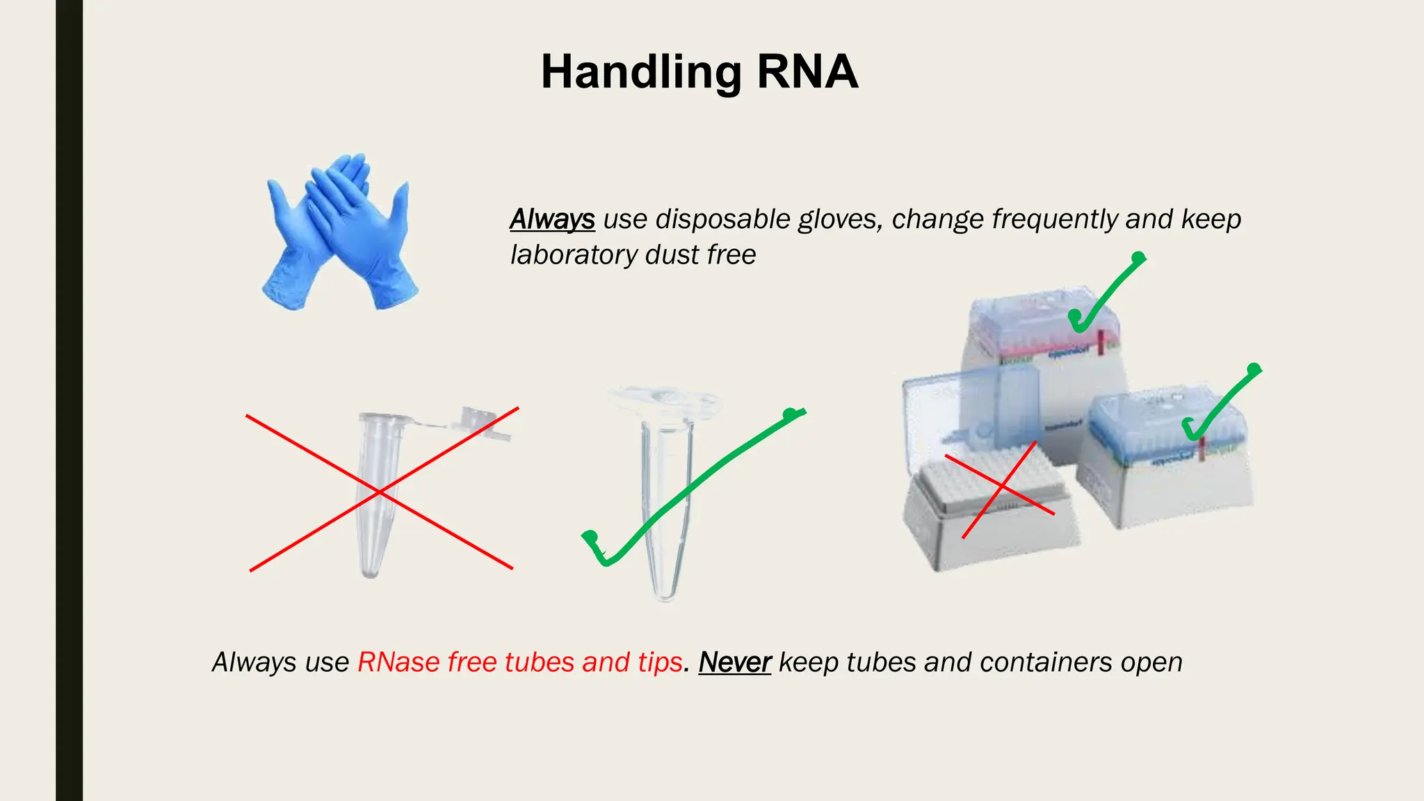 RNA Extraction-Dr upasana ray class .pdf