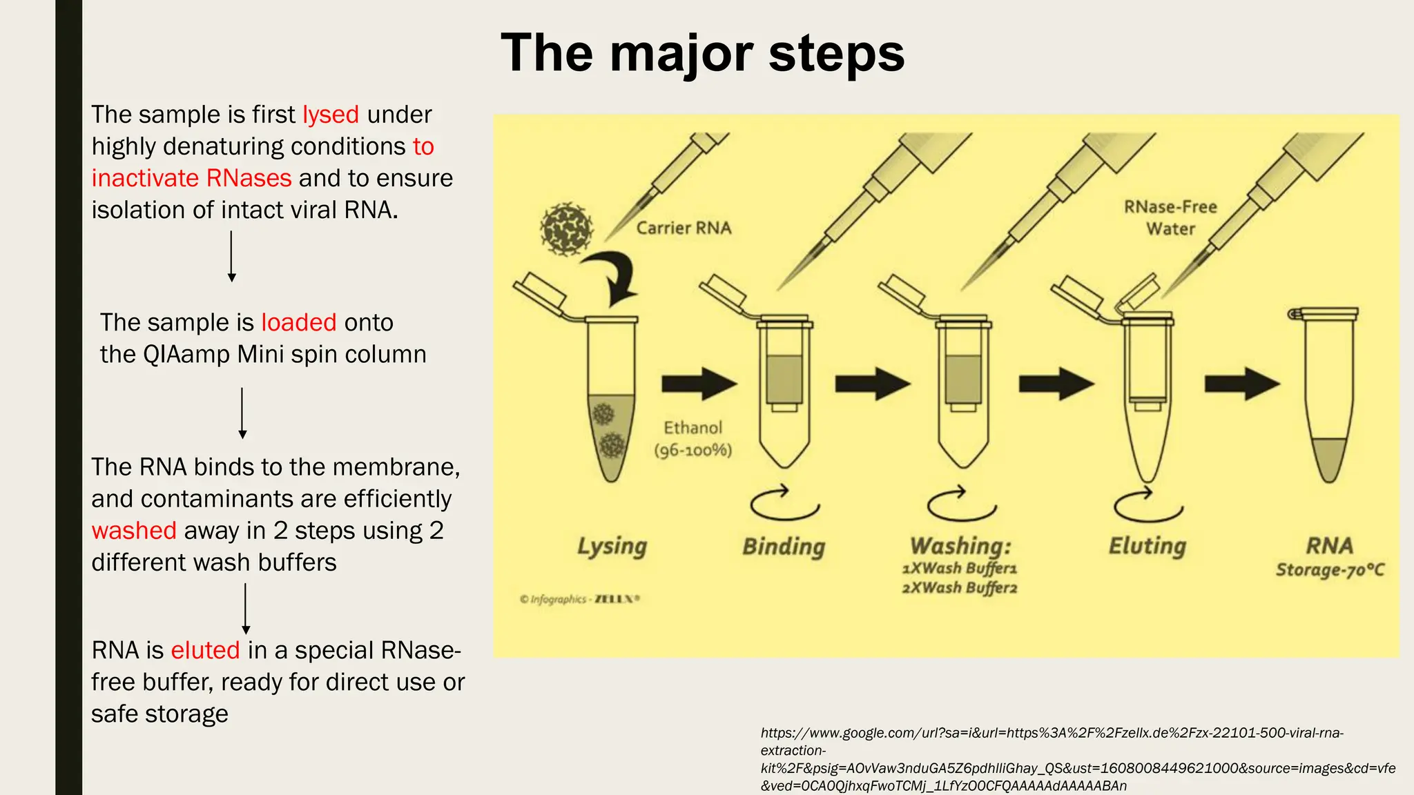 RNA Extraction-Dr upasana ray class .pdf