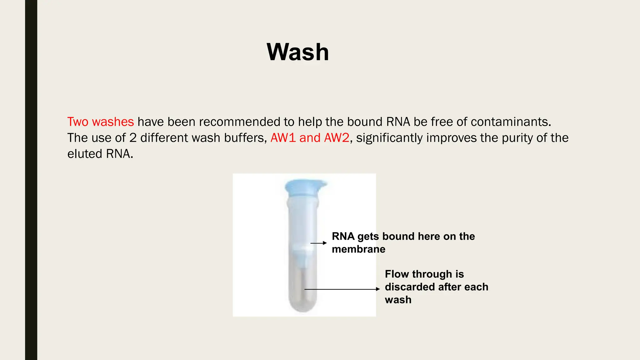 RNA Extraction-Dr upasana ray class .pdf
