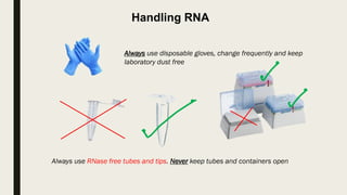 RNA Extraction-Dr upasana ray class .pdf