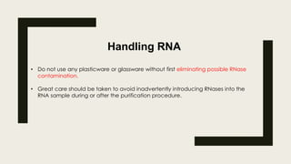 RNA Extraction-Dr upasana ray class .pdf