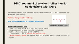 RNA Extraction-Dr upasana ray class .pdf