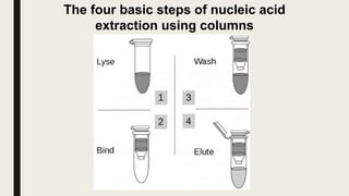 RNA Extraction-Dr upasana ray class .pdf