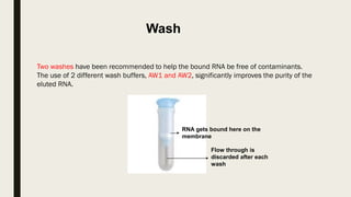 RNA Extraction-Dr upasana ray class .pdf