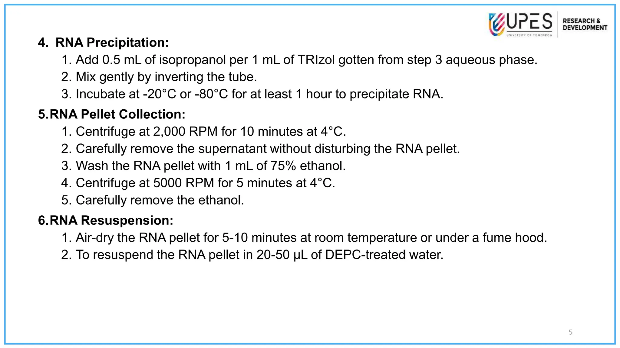 RNA Extraction from Escherichia Coli.pptx