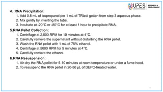 RNA Extraction from Escherichia Coli.pptx