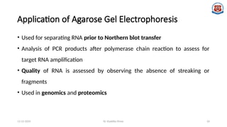 RNA GEL ELECTROPHORESIS- Dr. Vyaktika Shree.pptx