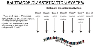 RNA Genome and its replication | PPTX