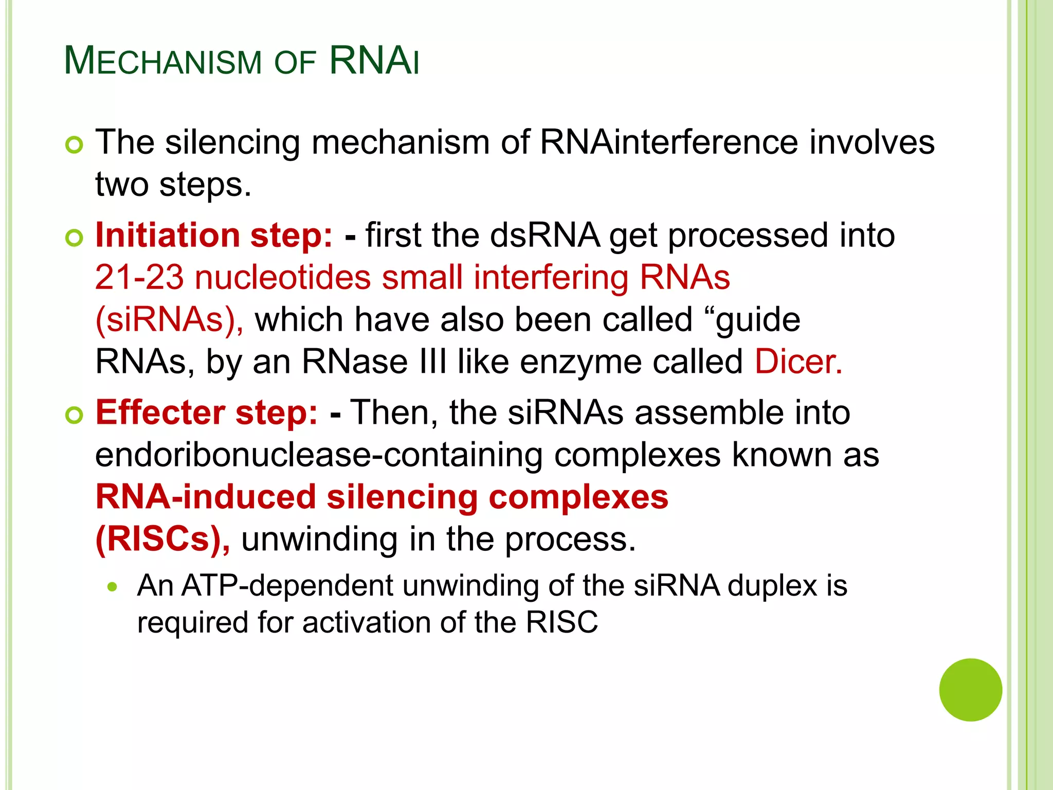 RNA interference | PPTX | Programming Languages | Computing