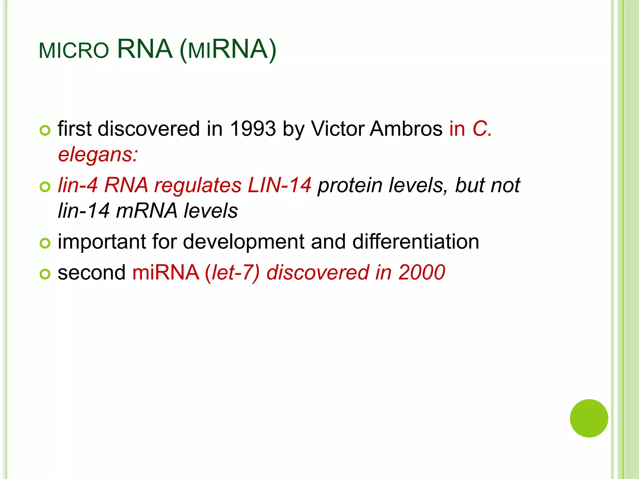 RNA interference | PPTX | Programming Languages | Computing