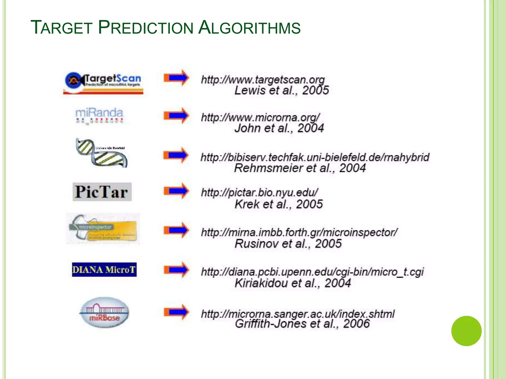 RNA interference | PPTX | Programming Languages | Computing