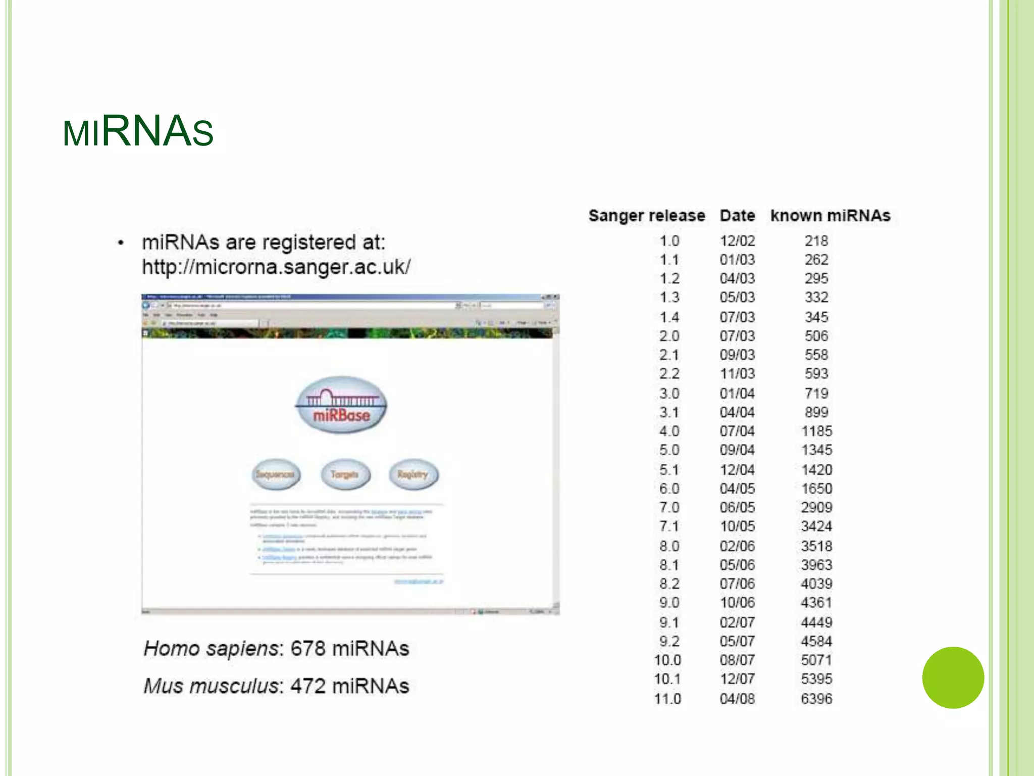 RNA interference | PPTX | Programming Languages | Computing