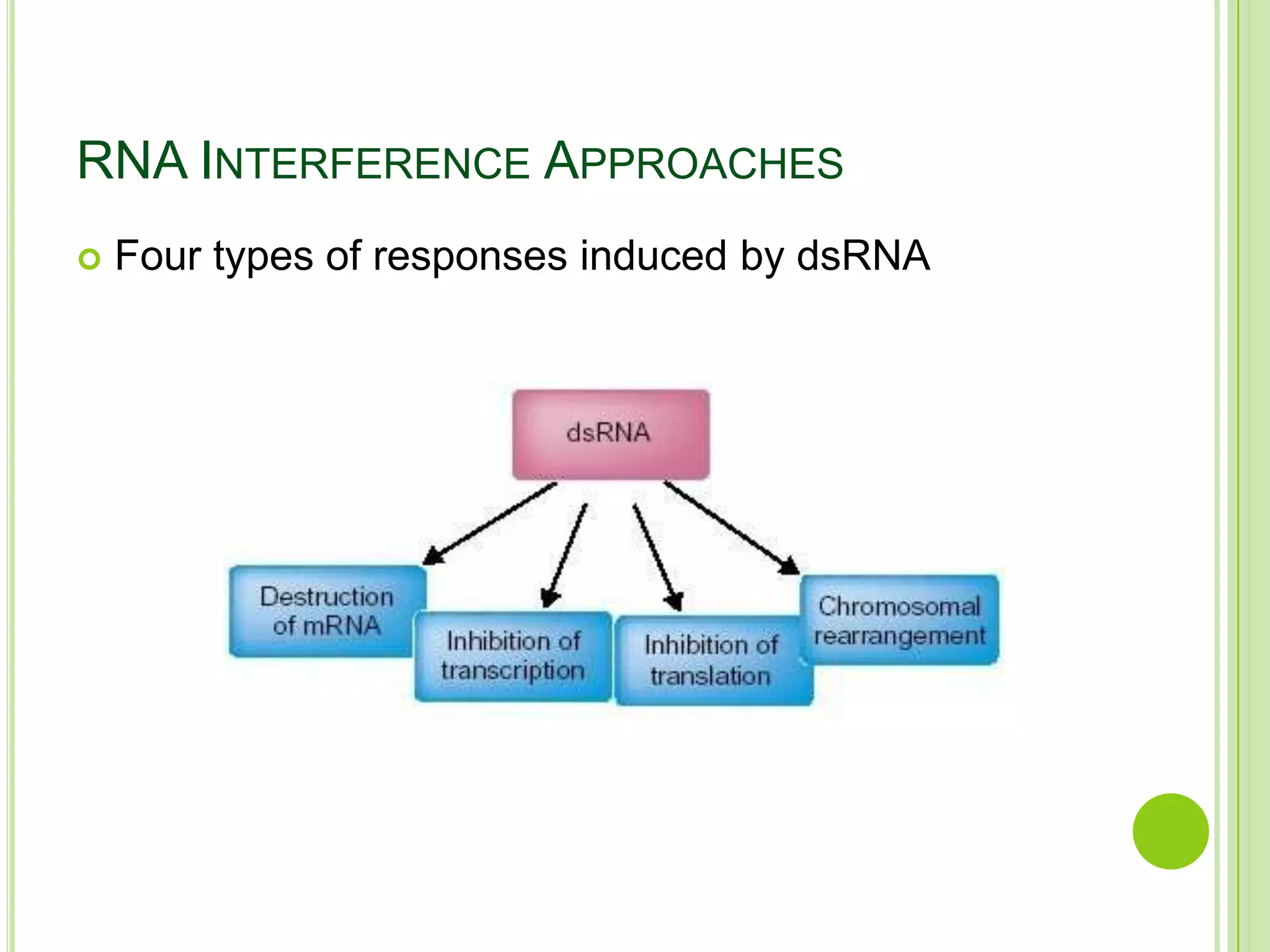 RNA interference | PPTX