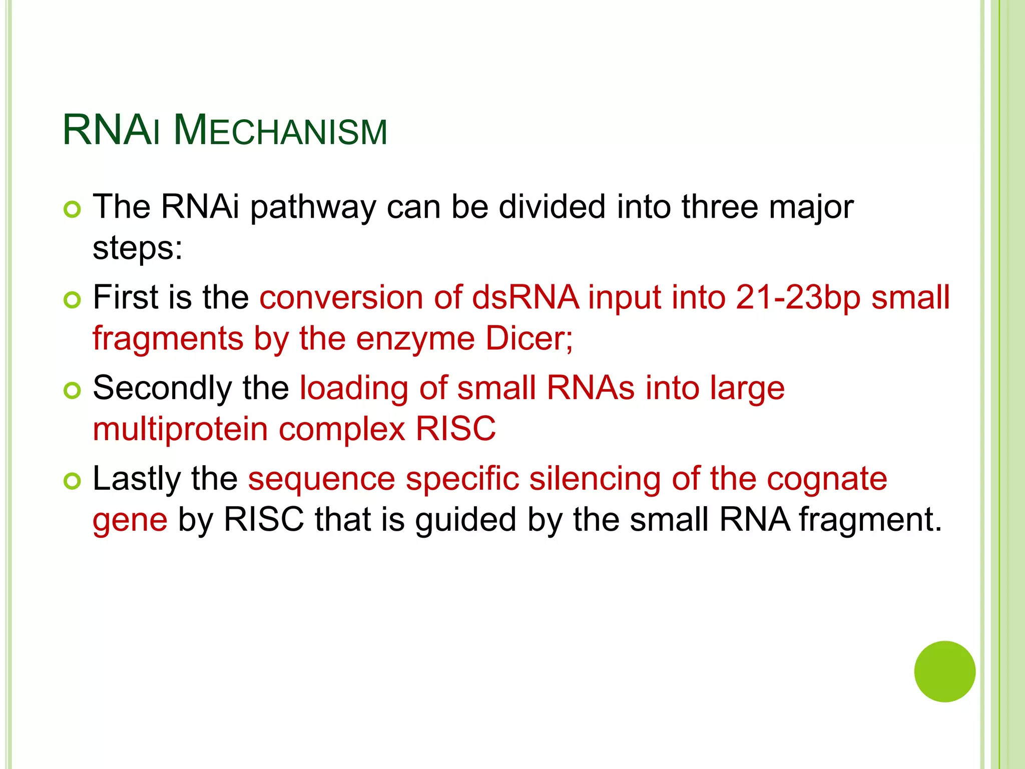 RNA interference | PPTX | Programming Languages | Computing