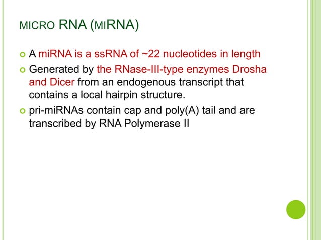 RNA interference | PPTX | Programming Languages | Computing
