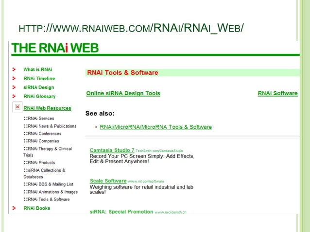 RNA interference | PPTX | Programming Languages | Computing