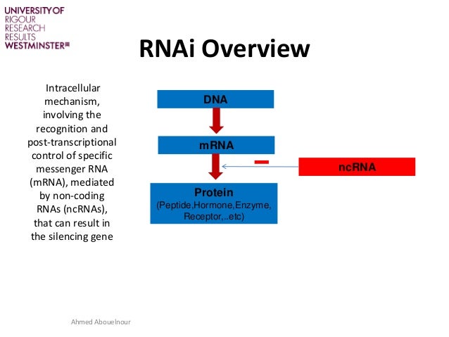 RNAi Therapy