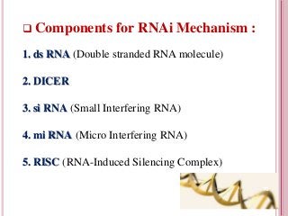 RNAi | PPTX