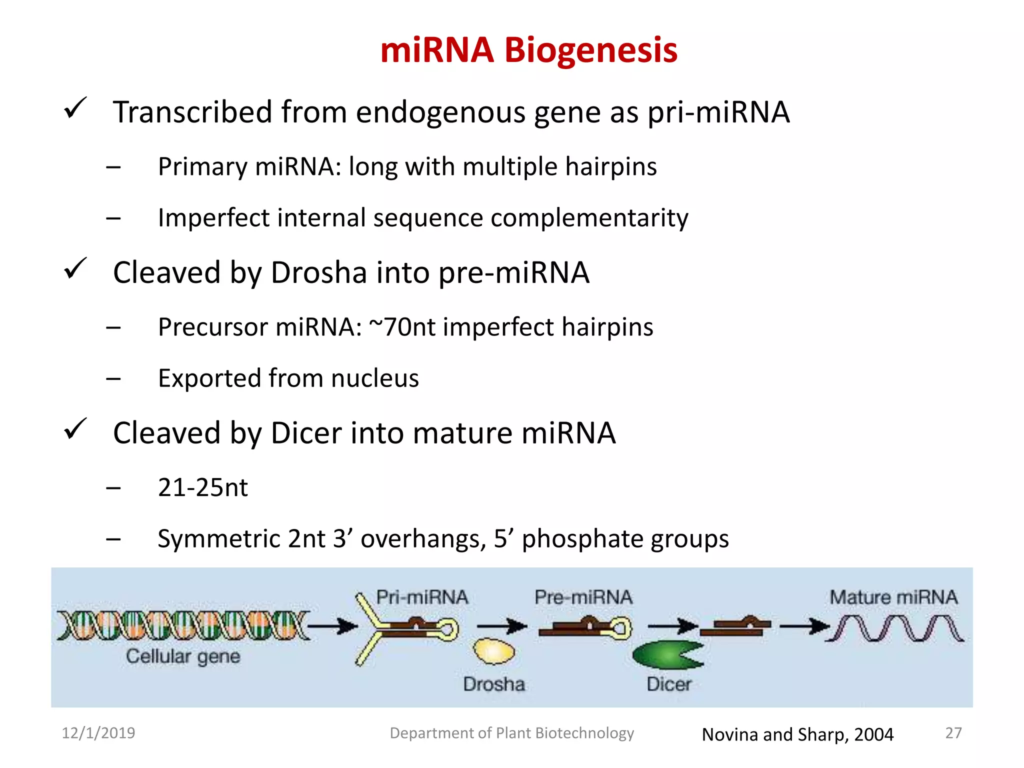 RNA Interference (RNAi) | PPTX