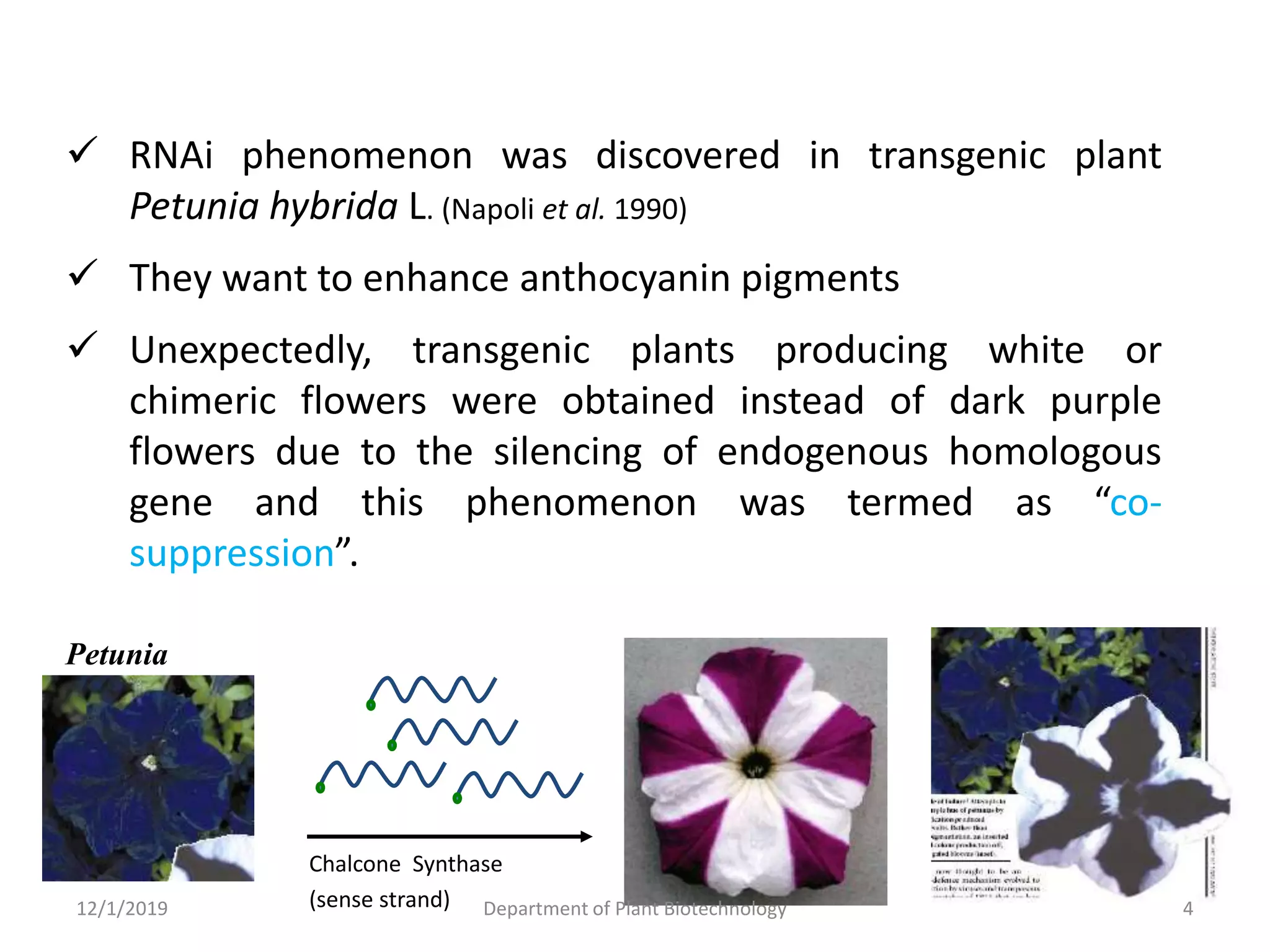 RNA Interference (RNAi) | PPTX