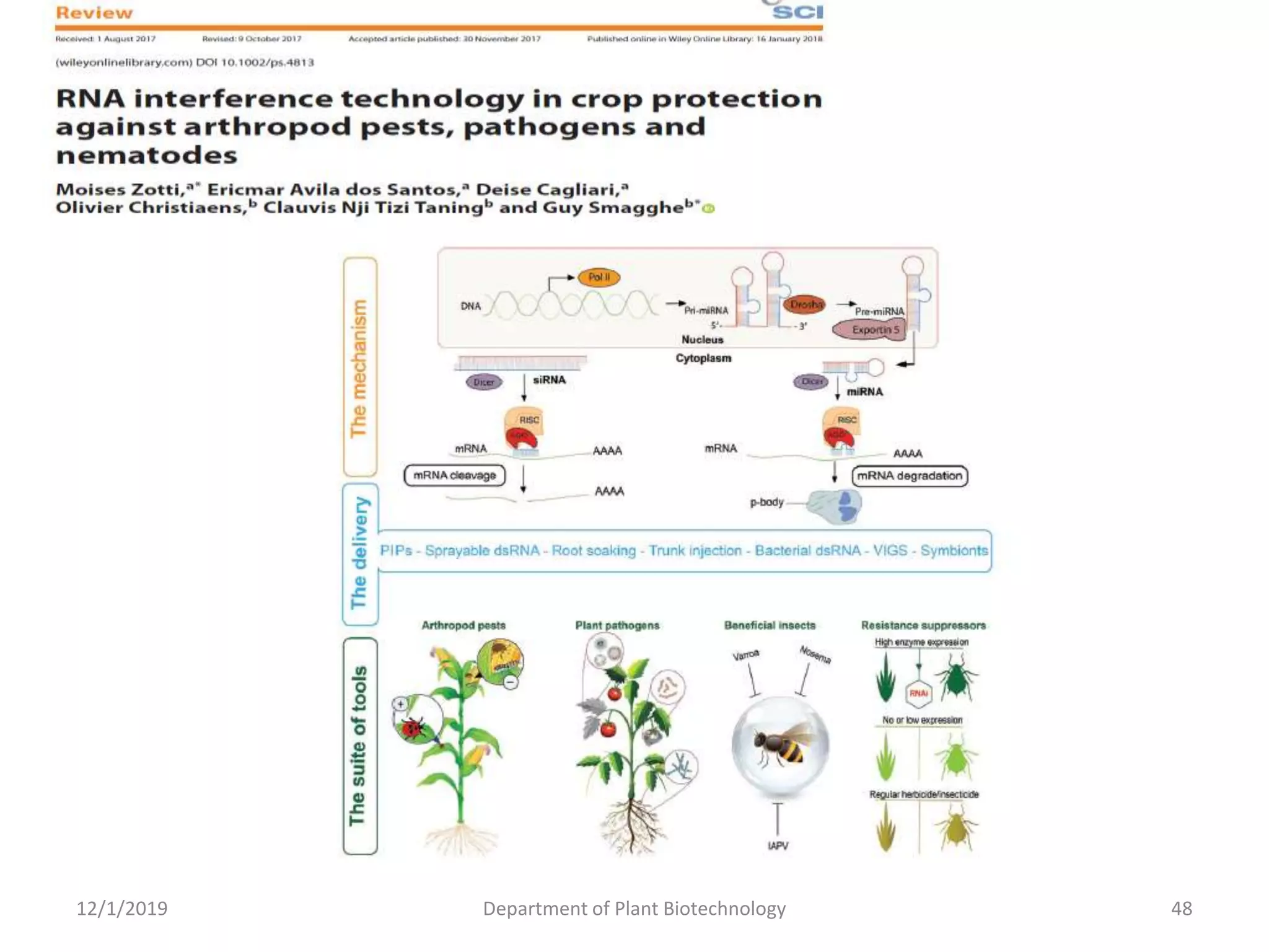 RNA Interference (RNAi) | PPTX